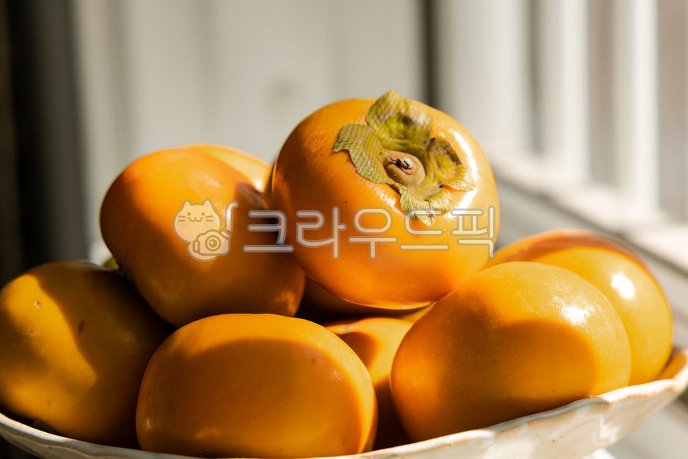 closeup, colorful, eating, food, fruits, 사진,이미지,일러스트,캘리그라피 - iamtaeoh작가