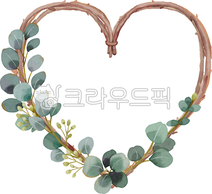 잎일러스트 유칼립투스png 유칼립투스잎 하트 유칼립투스수채화 사진이미지일러스트캘리그라피 Ok디자인작가
