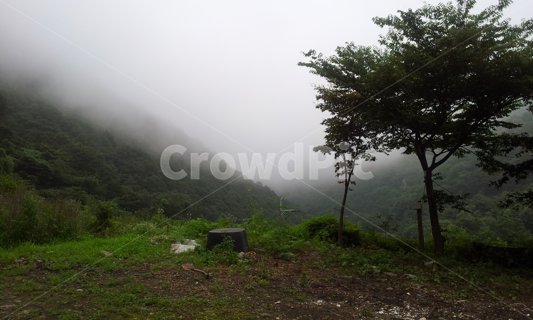 비오는, 고요한아침, 안개, 안개낀아침, 조용한산중턱, 사진,이미지,일러스트,캘리그라피 - Nmzsbboy작가