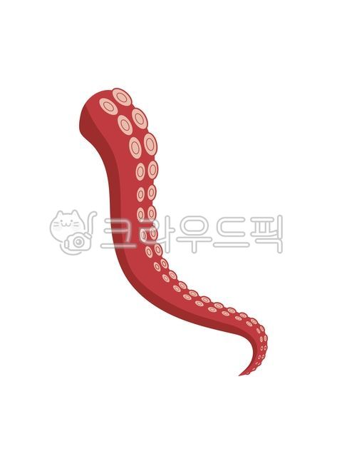 문어다리, 문어, 문어일러스트, 문어다리일러스트, 문어빨판, 사진,이미지,일러스트,캘리그라피 - saejun작가