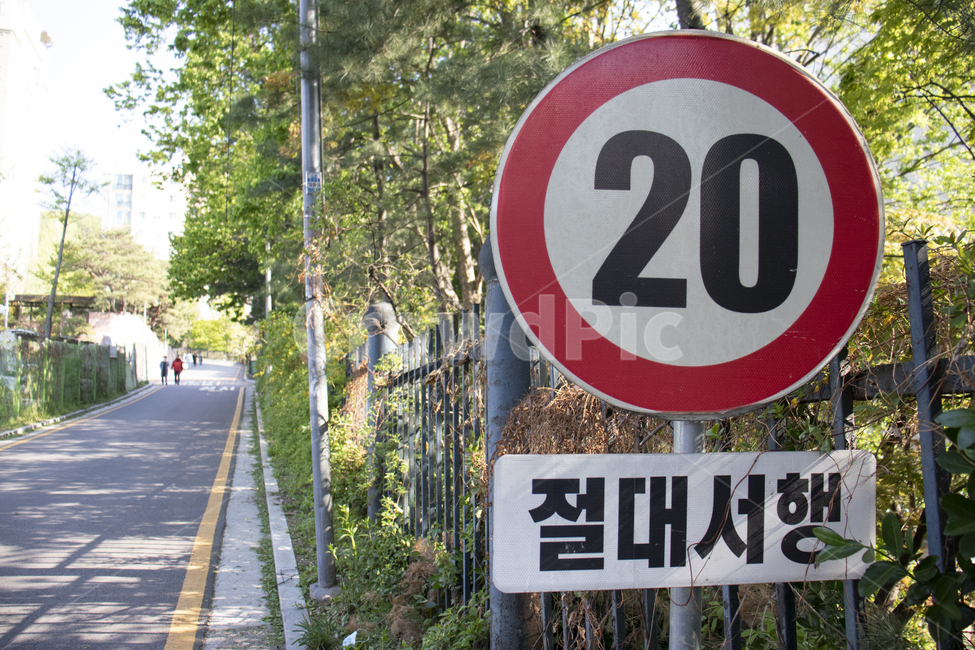 human, 인간, person, 사람, 기호, 사진,이미지,일러스트,캘리그라피 - shotK작가