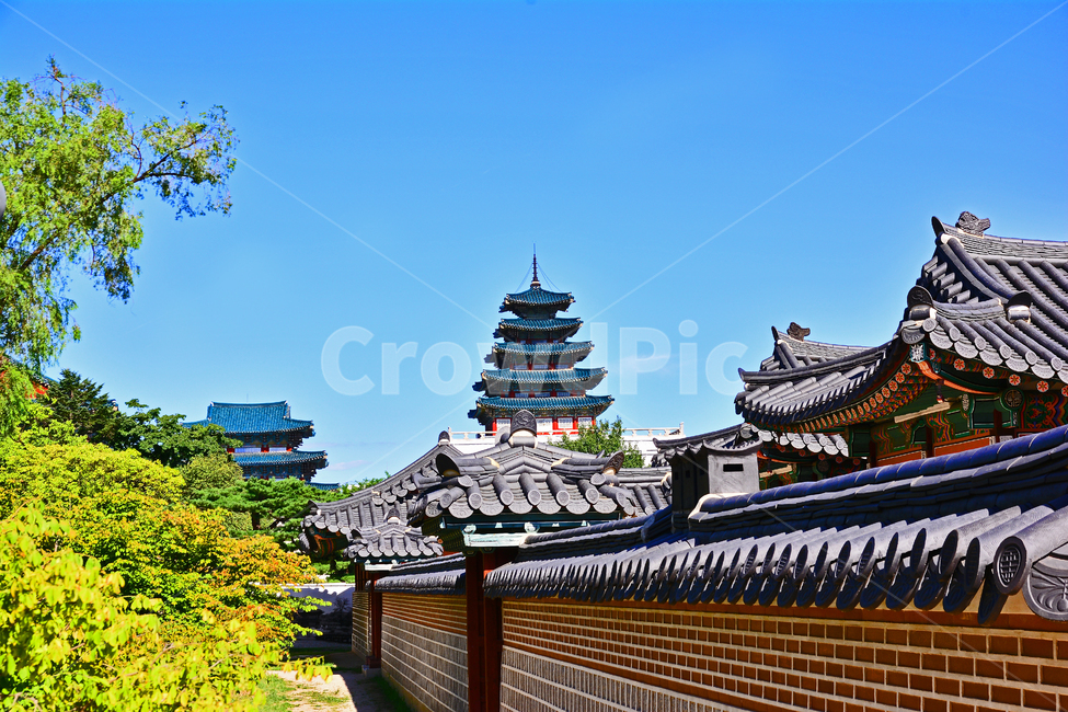 전통, 고궁, 경복궁, 박물관, 문화, 사진,이미지,일러스트,캘리그라피 - space작가