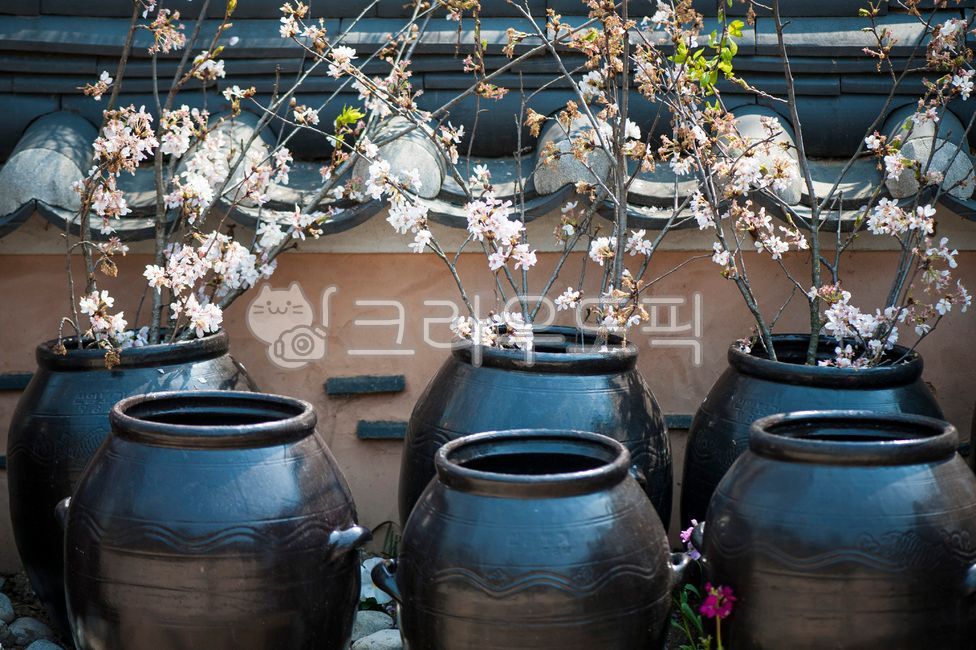 장독, 장독대, 항아리, 도기, 저장, 사진,이미지,일러스트,캘리그라피 - Caleb Cho작가