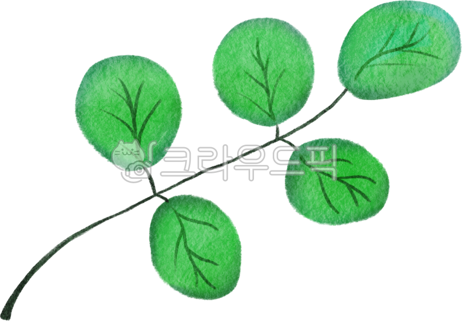 나뭇잎, 잎, 초록색, 일러스트, 그래픽, 사진,이미지,일러스트,캘리그라피 - navisky작가