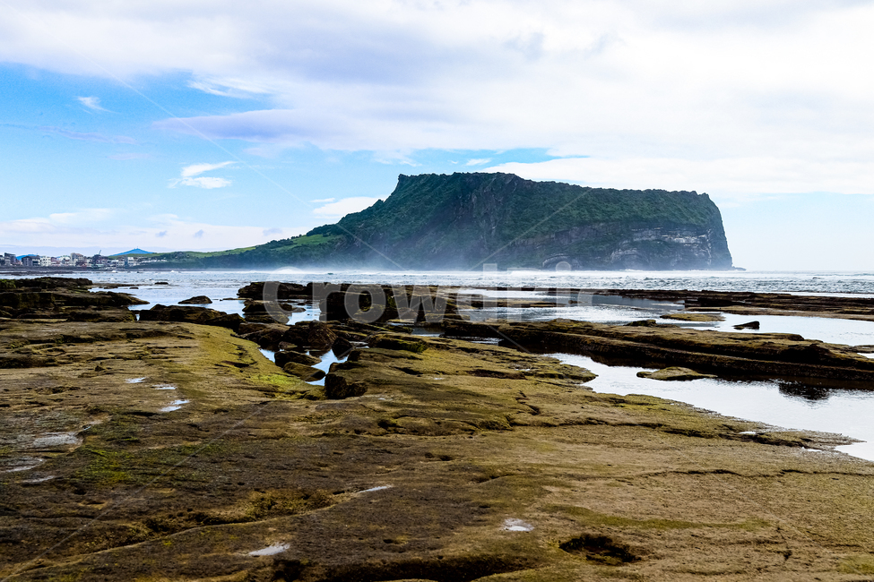 nature, outdoor, jeju, 자연, 제주도, 사진,이미지,일러스트,캘리그라피 - 마정훈작가