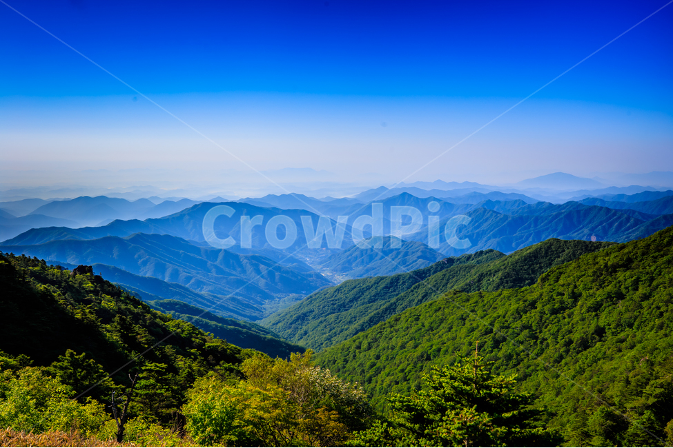 지리산, 능선, 봄, 초록, 산, 사진,이미지,일러스트,캘리그라피 - Vaun작가