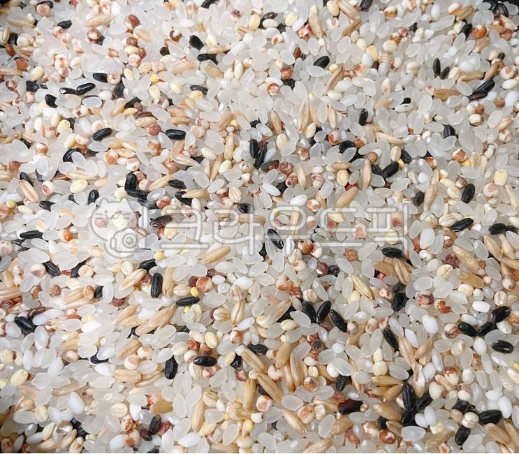 현미, 찰현미, 백미, 찰현미쌀, 현미쌀, 사진,이미지,일러스트,캘리그라피 - 먹방작가