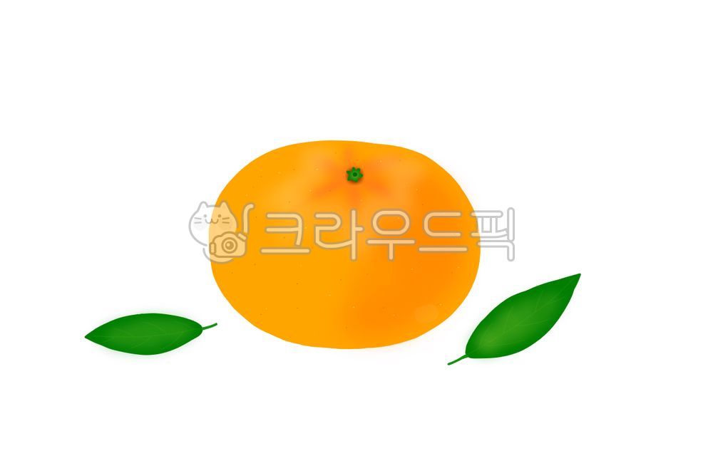 귤, 감귤, 일러스트, 일러스트그림, 캐릭터, 사진,이미지,일러스트,캘리그라피 - 냐옹아작가