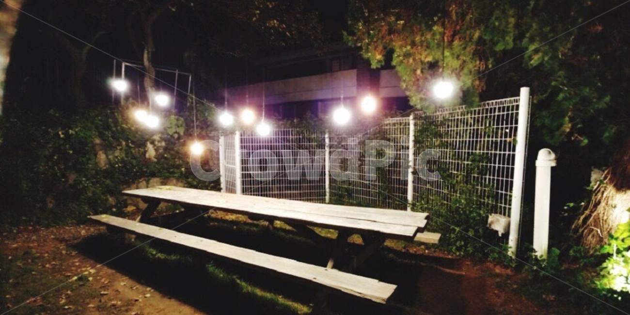 조명, 벤치, 의자, 정원, 야경, 사진,이미지,일러스트,캘리그라피 - breezy365작가