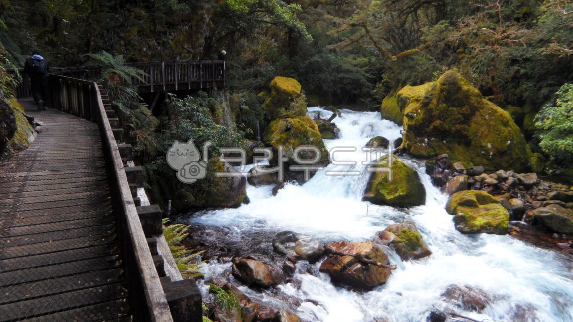 뉴질랜드, 배경, 보드워크, 계곡, 물, 사진,이미지,일러스트,캘리그라피 - 나비처럼작가