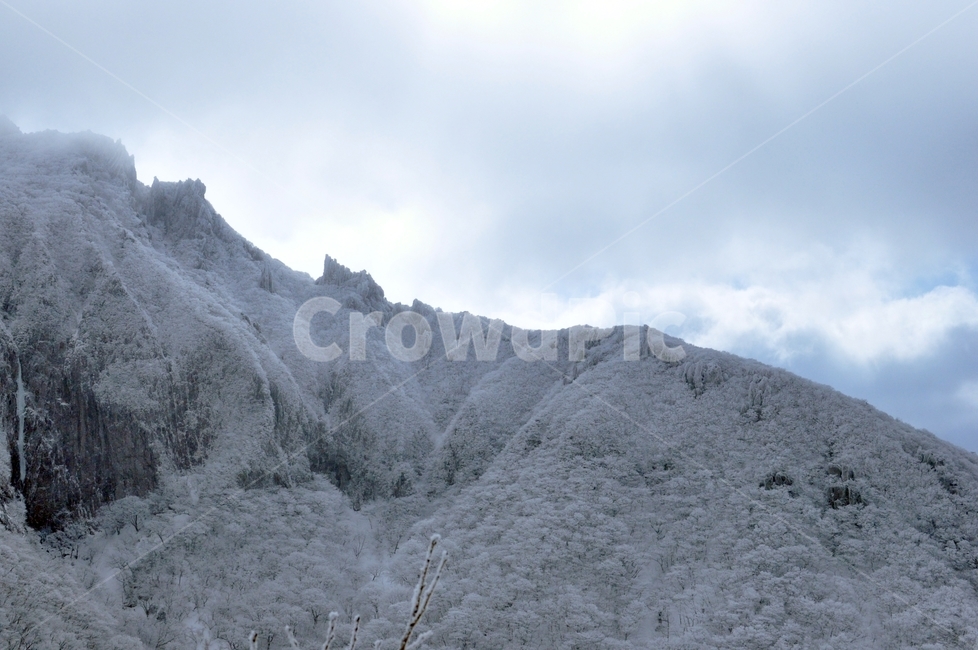 겨울산, 겨울나무, 등산, 눈꽃, 산, 사진,이미지,일러스트,캘리그라피 - 성오작가