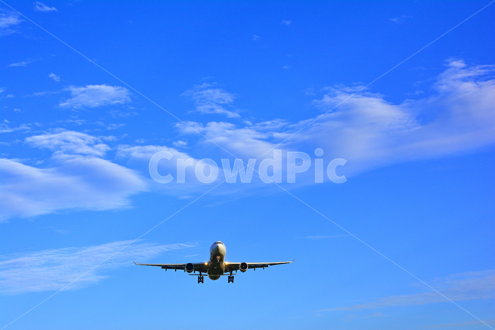 비행기 항공기 제트기 여객기 해외여행 사진이미지일러스트캘리그라피 Space작가