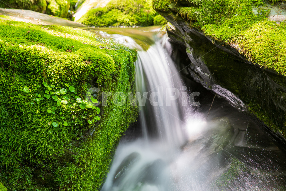 이끼, 작은폭포, 초록, 힐링, 계곡, 사진,이미지,일러스트,캘리그라피 - banhari작가