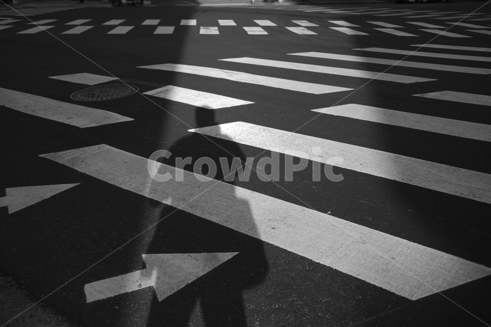 횡단보도, 외로움, 혼자, 흑백, 스냅, 사진,이미지,일러스트,캘리그라피 - 느림보작가