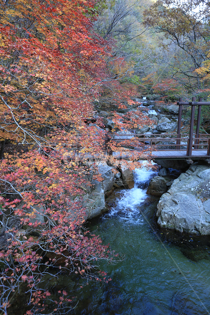 가을, 계곡, 방태산, fall, valley, 사진,이미지,일러스트,캘리그라피 - jasmin작가