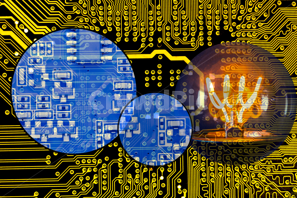 전자 회로 전자기판 전자기기 기기 사진이미지일러스트캘리그라피 원프로작가