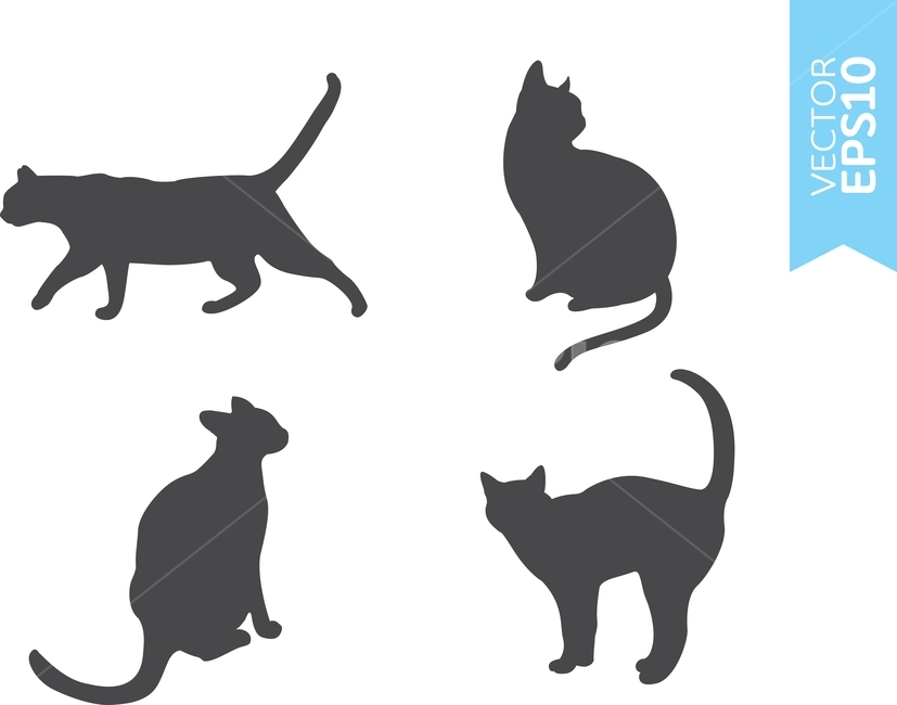 고양이, 캐릭터, 동물, 심플한, 플랫, 사진,이미지,일러스트,캘리그라피 - woocat작가