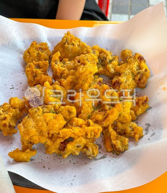 프라이드치킨, 치킨, 순살치킨, 닭튀김, 닭강정, 사진,이미지,일러스트,캘리그라피 - 스테이둑작가