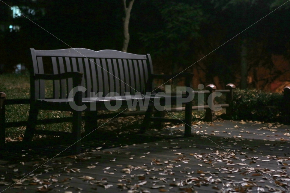 공원, 벤치, 밤, 가로등밑, 가을, 사진,이미지,일러스트,캘리그라피 - 모멘티카작가