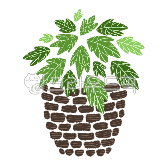 식물, 식물일러스트, 반려식물, 화분, 일러스트, 사진,이미지,일러스트,캘리그라피 - 사각하다작가