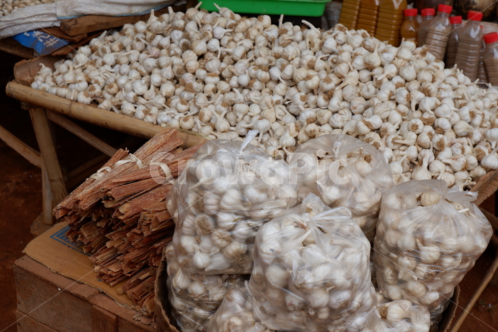 마늘, 시장, market, garlic, food, 사진,이미지,일러스트,캘리그라피 - mailog작가