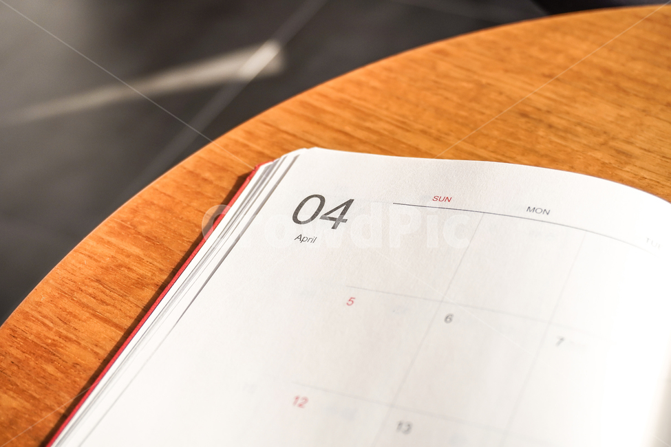 2020, annual, calender, deadline, diary, 사진,이미지,일러스트,캘리그라피 - Pandabadger작가