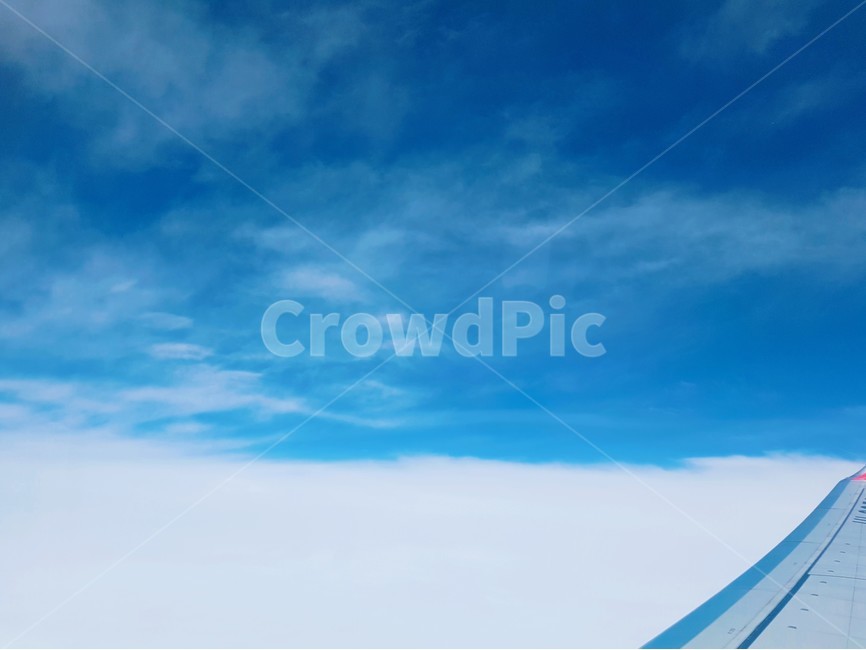 비행기, 비행기사진, 비행기안, 창가, 창가사진, 사진,이미지,일러스트,캘리그라피 - hjnmm작가