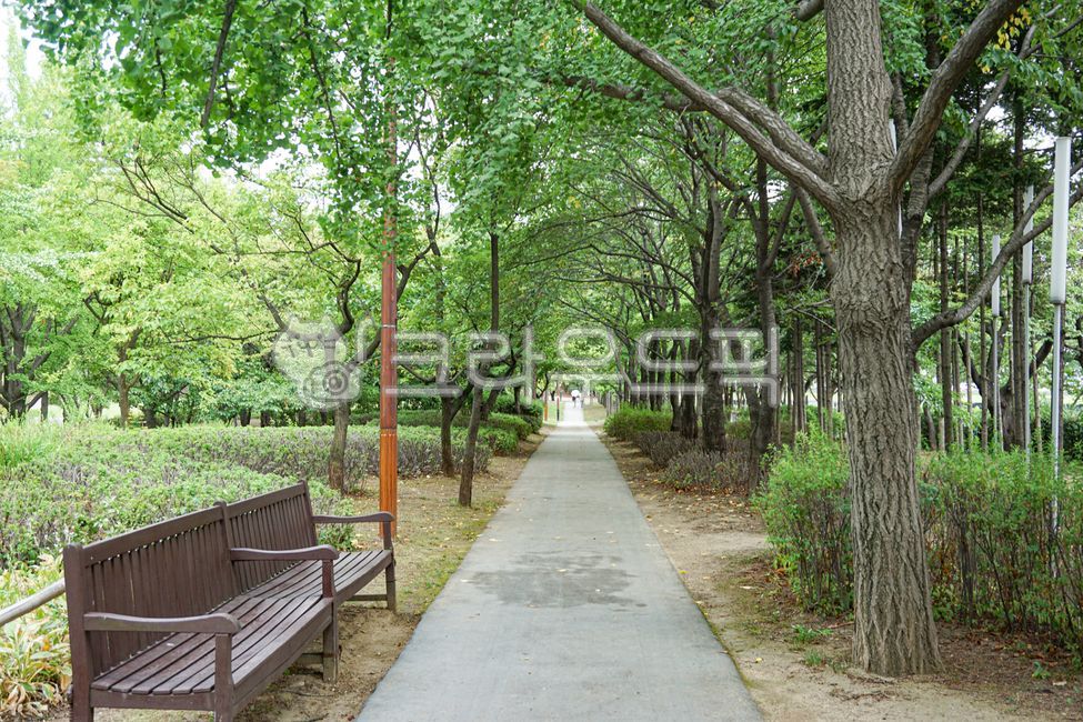 in the woods, A national park, Bench, forest, park bench - Authentic ...