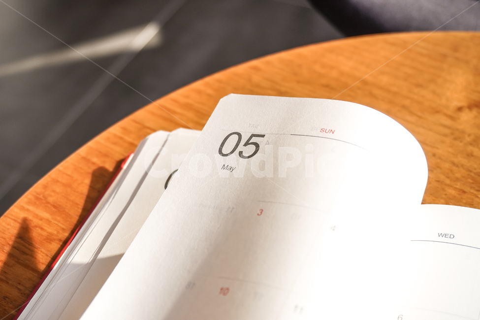 2020, annual, calender, deadline, diary, 사진,이미지,일러스트,캘리그라피 - Pandabadger작가