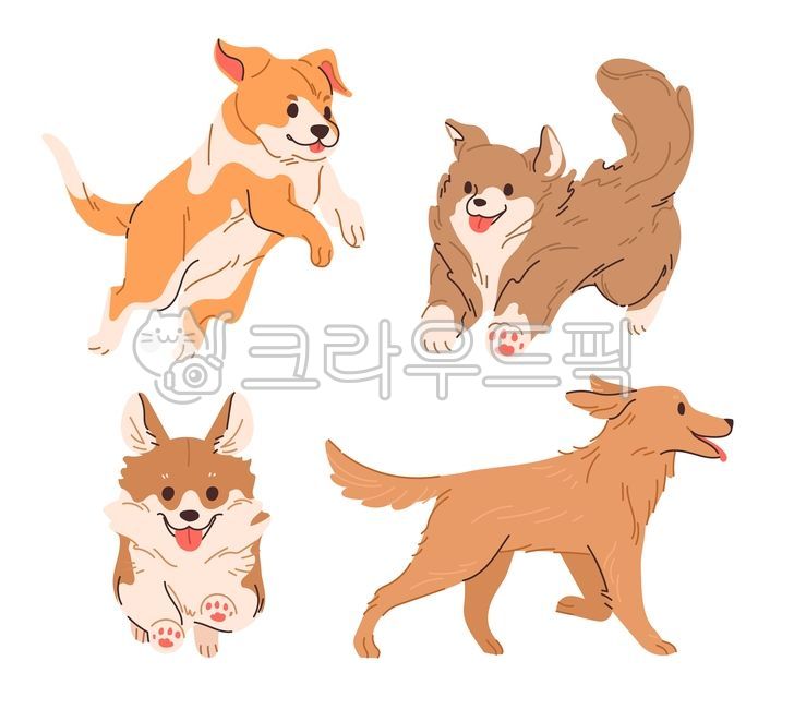 반려동물, 개, 강아지, 달리는, 달리기, 사진,이미지,일러스트,캘리그라피 - woocat작가