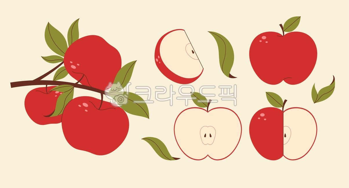 일러스트, 가을, 그림, 삽화, 사과, 사진,이미지,일러스트,캘리그라피 - woocat작가