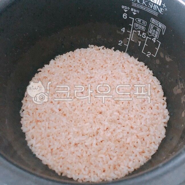 현미, 밥, 쌀, 공기밥, 현미밥, 사진,이미지,일러스트,캘리그라피 - yange작가