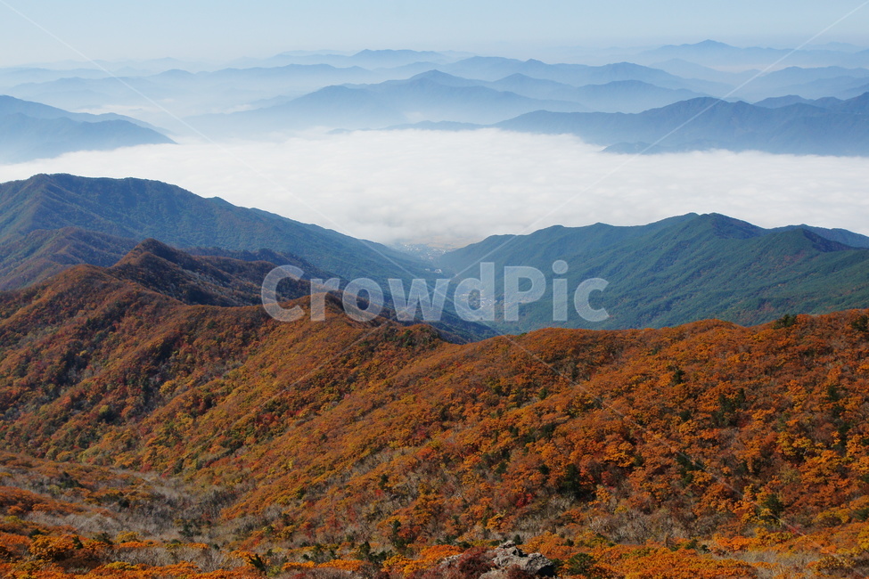 지리산, 가을, 국립공원, 단풍, 구례, 사진,이미지,일러스트,캘리그라피 - 순딩이작가