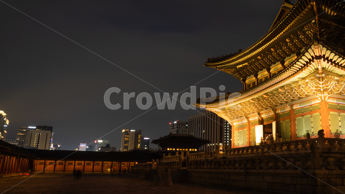 경복궁야경, 경복궁, 한옥, 경복궁야간개장, 조선시대, 사진,이미지,일러스트,캘리그라피 - Ndanny5632작가