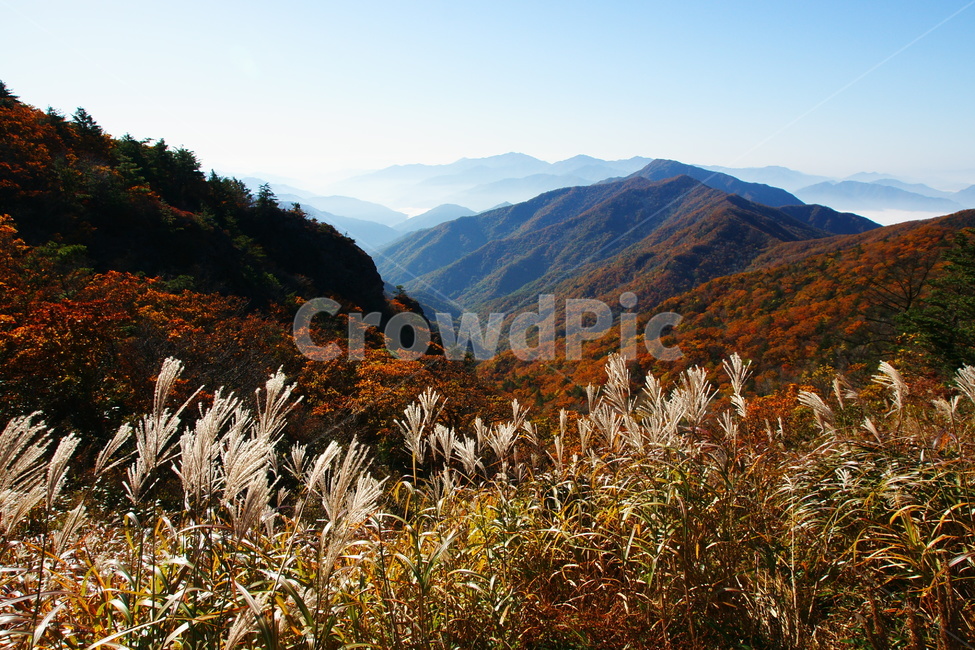 지리산, 가을, 국립공원, 단풍, 구례, 사진,이미지,일러스트,캘리그라피 - 순딩이작가