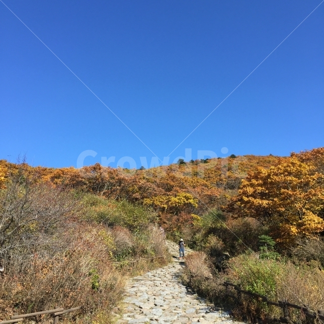 가을, 지리산, 단풍, 하늘, 등산, 사진,이미지,일러스트,캘리그라피 - Nlaser1225작가