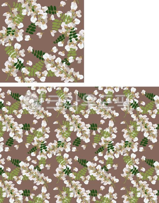 acacia, robinia, flower, floral, flora, 사진,이미지,일러스트,캘리그라피 - Jokuna작가