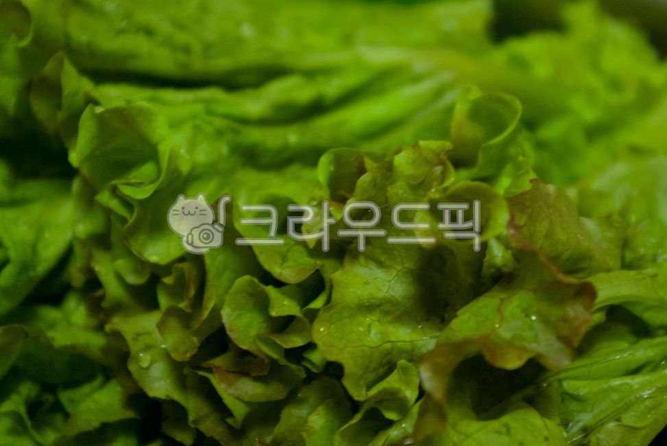 agriculture, background, backgrounds, closeup, color, 사진,이미지,일러스트,캘리그라피 ...