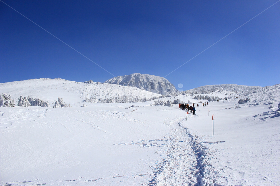 겨울한라산, 한라산, 한라산경울, 제주겨울, 눈, 사진,이미지,일러스트,캘리그라피 - 바닷가작가