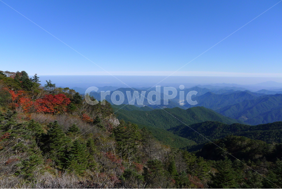 지리산, 가을, 단풍, 영신봉, 영신봉단풍, 사진,이미지,일러스트,캘리그라피 - 자연사랑작가
