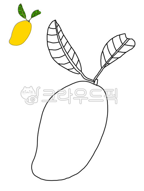 색칠공부 색칠 크레파스 과일색칠 과일색칠공부 사진 이미지 일러스트 캘리그라피 Jhsarah작가