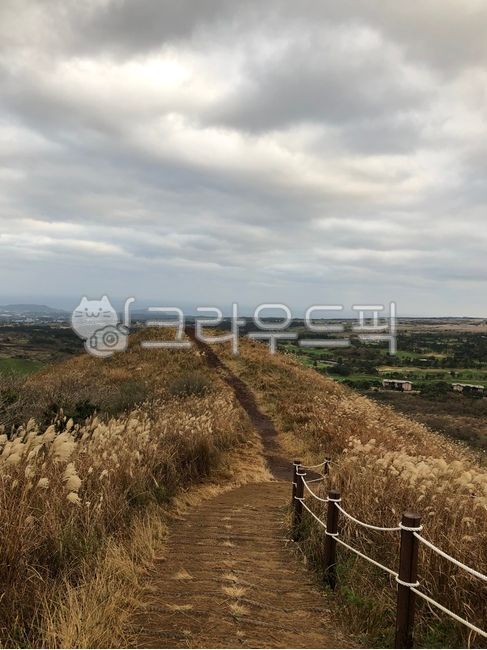 제주오름, 억새밭, outdoors, 들, nature, 사진,이미지,일러스트,캘리그라피 - Haanaa작가