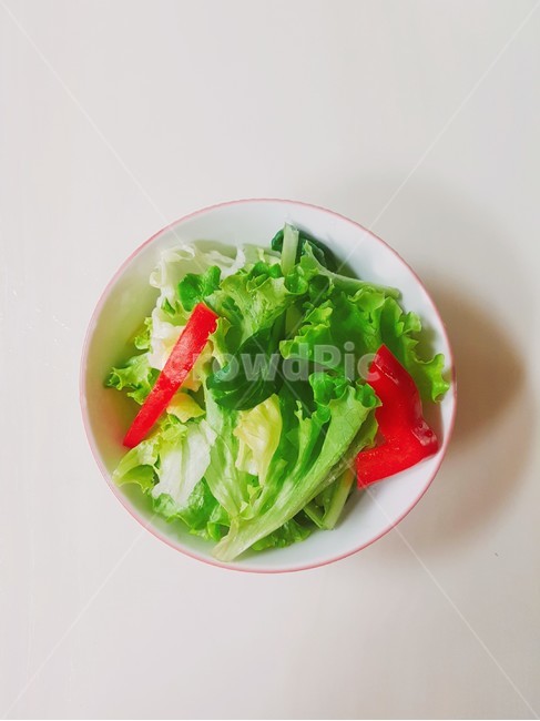 건강, 건강식, 헬스, 식단, 채소, 사진,이미지,일러스트,캘리그라피 - hjnmm작가