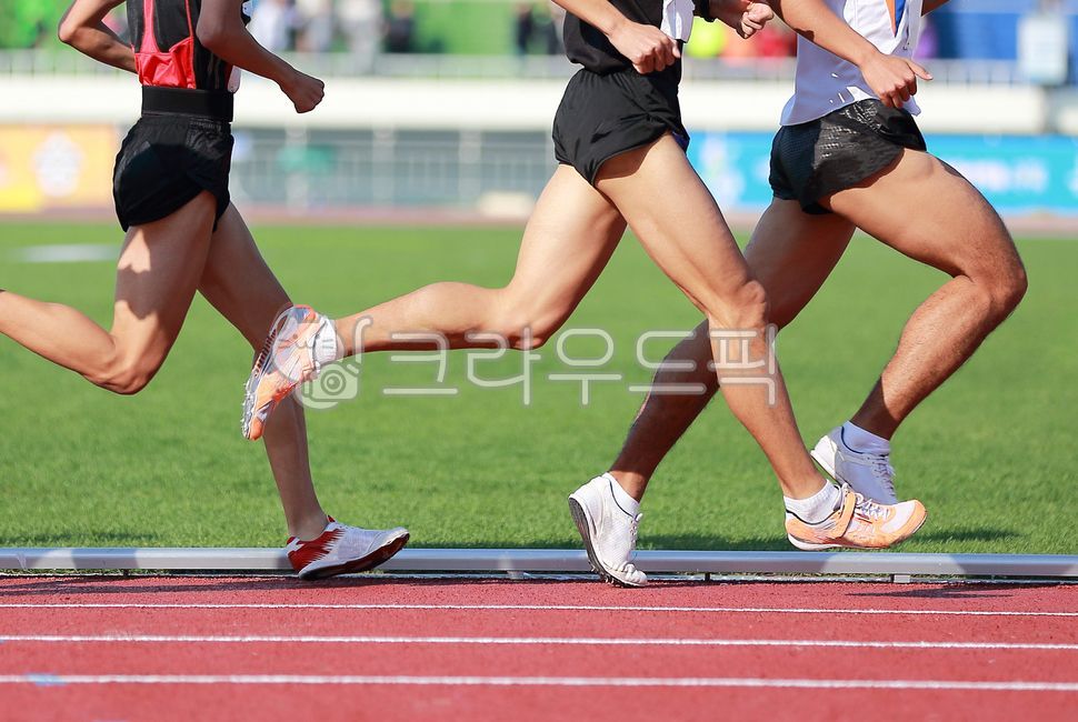 스포츠, 경기, 시합, 달리기, 마라톤, 사진,이미지,일러스트,캘리그라피 - gompang2000작가