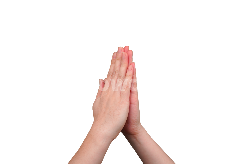 [기도 손 일러스트] 무료 다운로드! 감동적인 기도 손 일러스트로 마음을 안정시켜보세요!