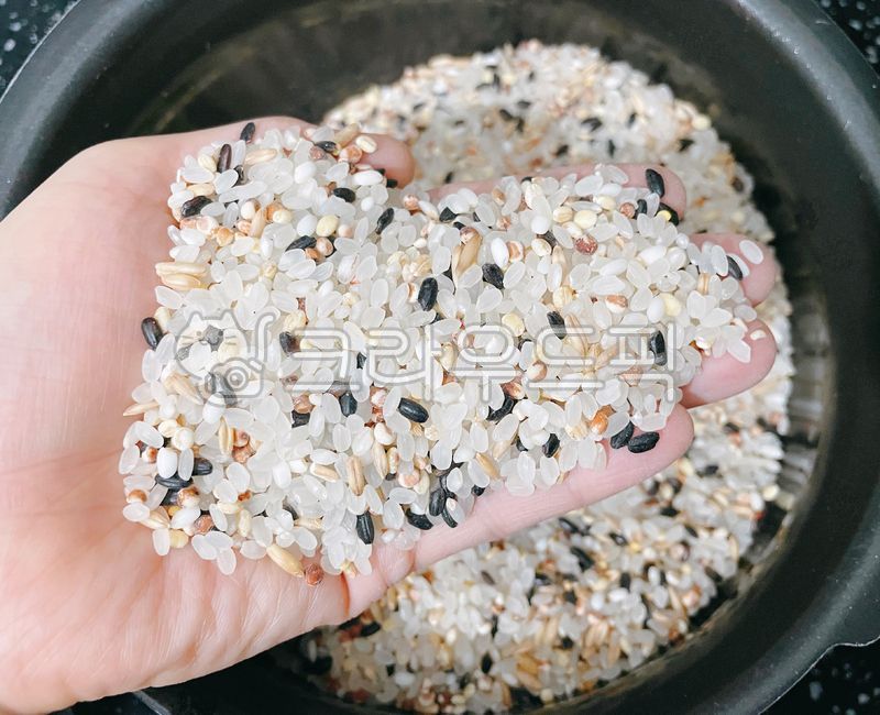 현미, 백미, 찰현미, 현미쌀, 찰현미쌀, 사진,이미지,일러스트,캘리그라피 - 먹방작가