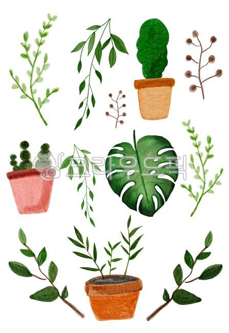 식물, 몬스테라, 식물일러스트, 화분, plant, 사진,이미지,일러스트,캘리그라피 - 윤이영작가