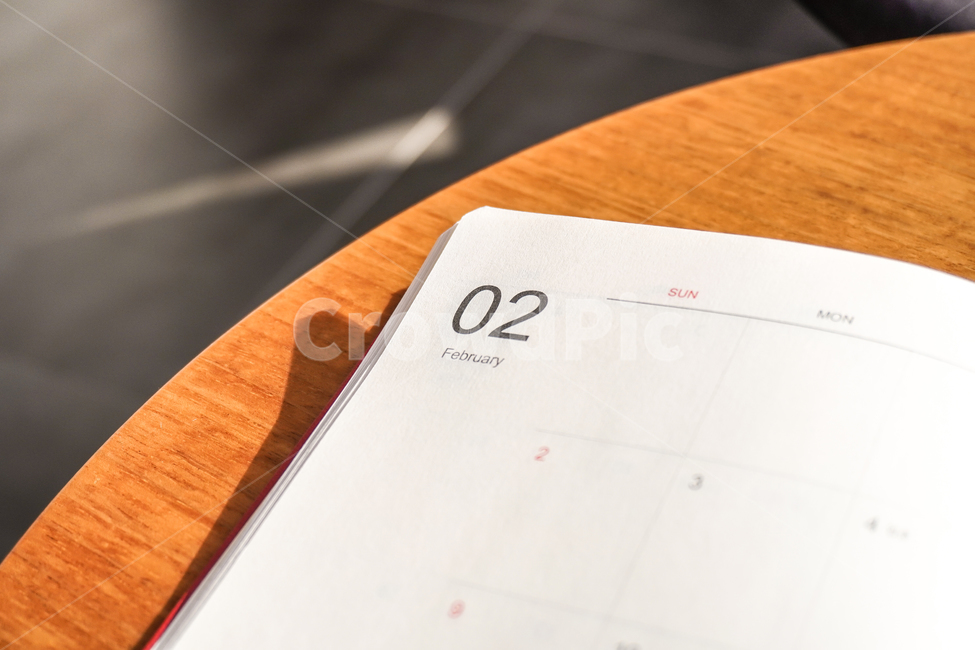 2020, annual, calender, deadline, diary, 사진,이미지,일러스트,캘리그라피 - Pandabadger작가