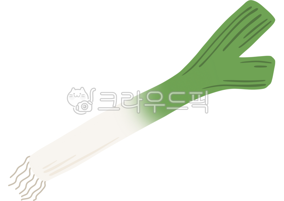 대파, 야채, 김장, 한국요리, 파, 사진,이미지,일러스트,캘리그라피 - navisky작가