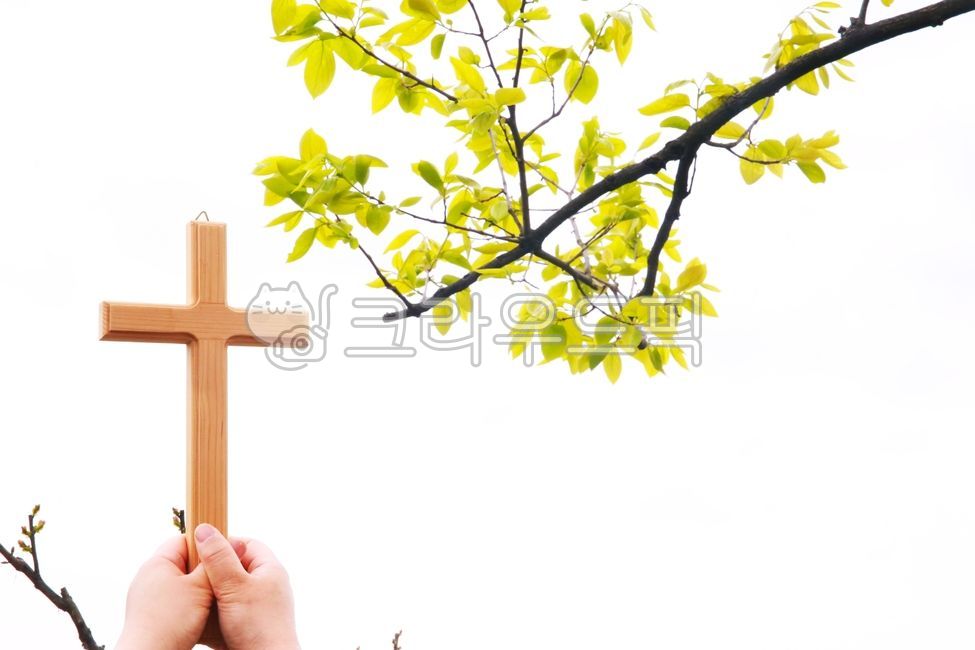 cross, symbol, 상징, person, 사람, 사진,이미지,일러스트,캘리그라피 - 핑크나비작가